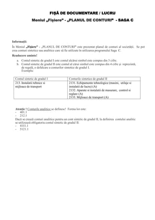 Meniul fisiere - planul de conturi SAGA C | PPTX