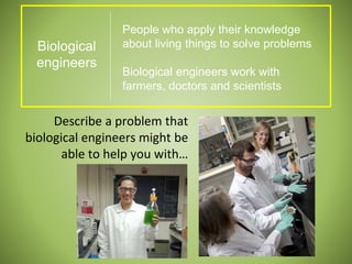 ucd-1811-algae-biomass-presentation.pptx