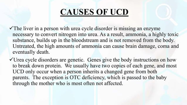 UREA CYCLE DISORDERS | PPTX | Digestive Disorders | Diseases and Conditions
