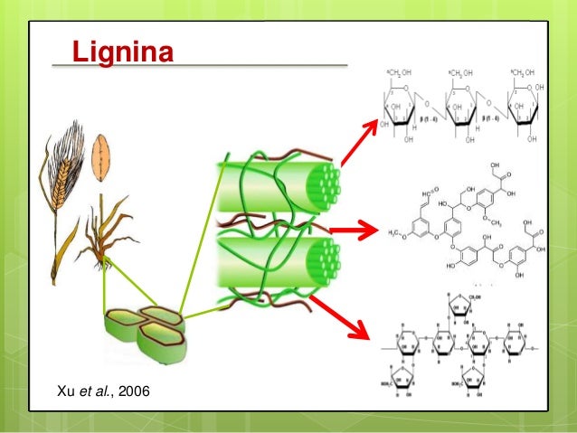 Generación de biogás a partir de la degradación de lignina de paja d…
