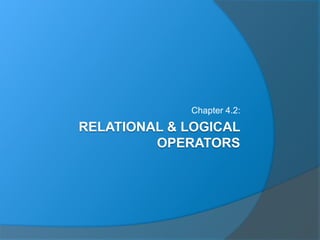 Chapter 4.2 | PPTX | Programming Languages | Computing