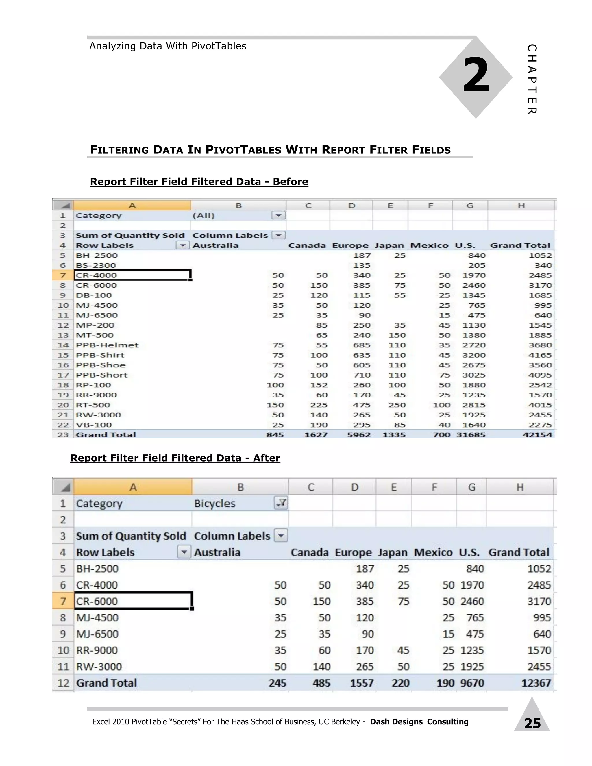 excel 2010 pivot tables | PDF
