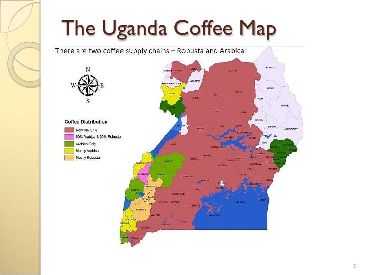 Ucfa robusta conference presentation