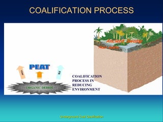 Ucg t c patra india | PPT