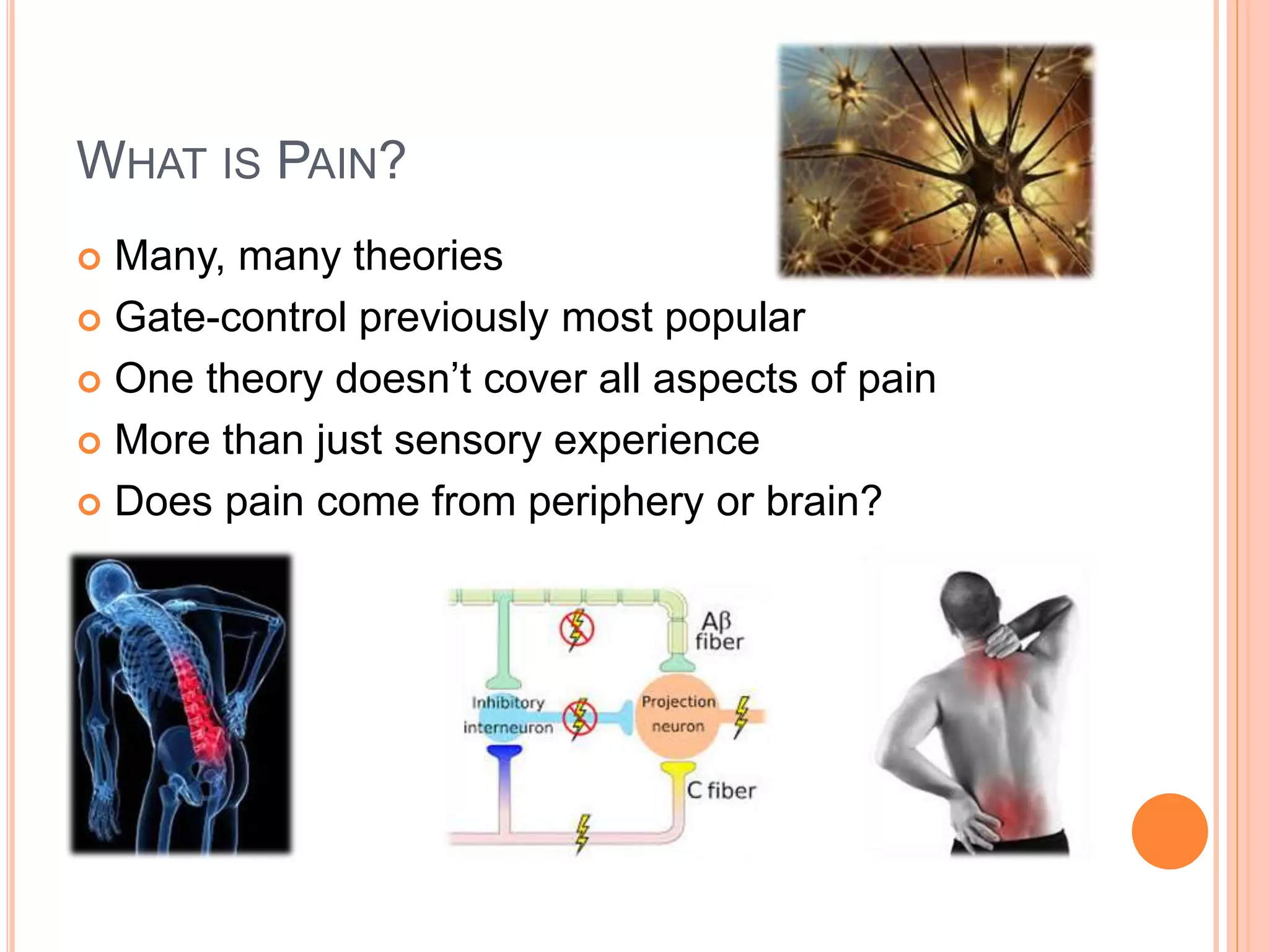 Uch Pain Presentation | PPTX
