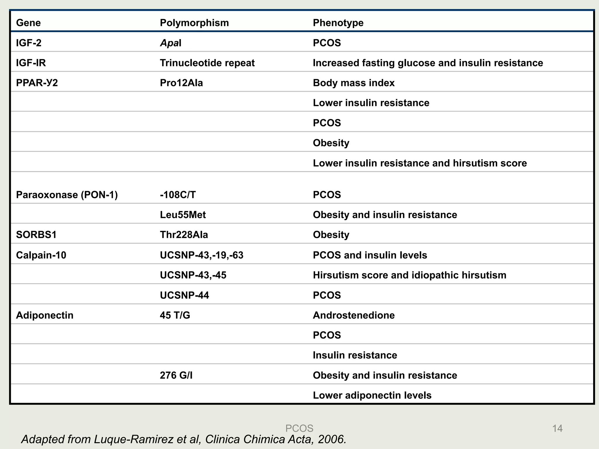 Polycystic Ovary Syndrome (PCOS) | PDF