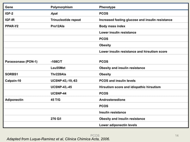 Polycystic Ovary Syndrome (PCOS) | PDF