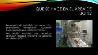 Enfermeria en la UCIN | PDF