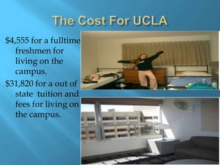 Ucla | PPTX | Undergraduate Education | College Education