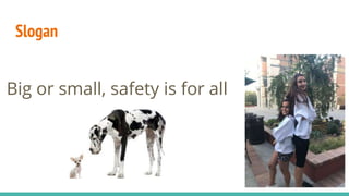 2018 Ambassador Leaders Community Action Plan - School Safety | PPT