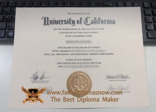 Ucla Diploma
