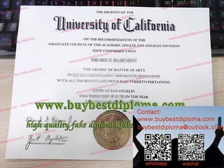 UCLA bachelor diploma.pdf