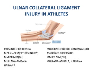 Ulnar Collateral Ligament Injury in Athletes | PPT