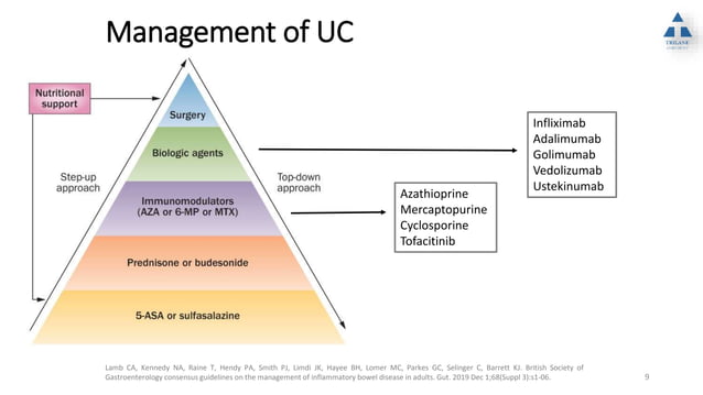 Ulcerative colitis protocol presentation | PPTX