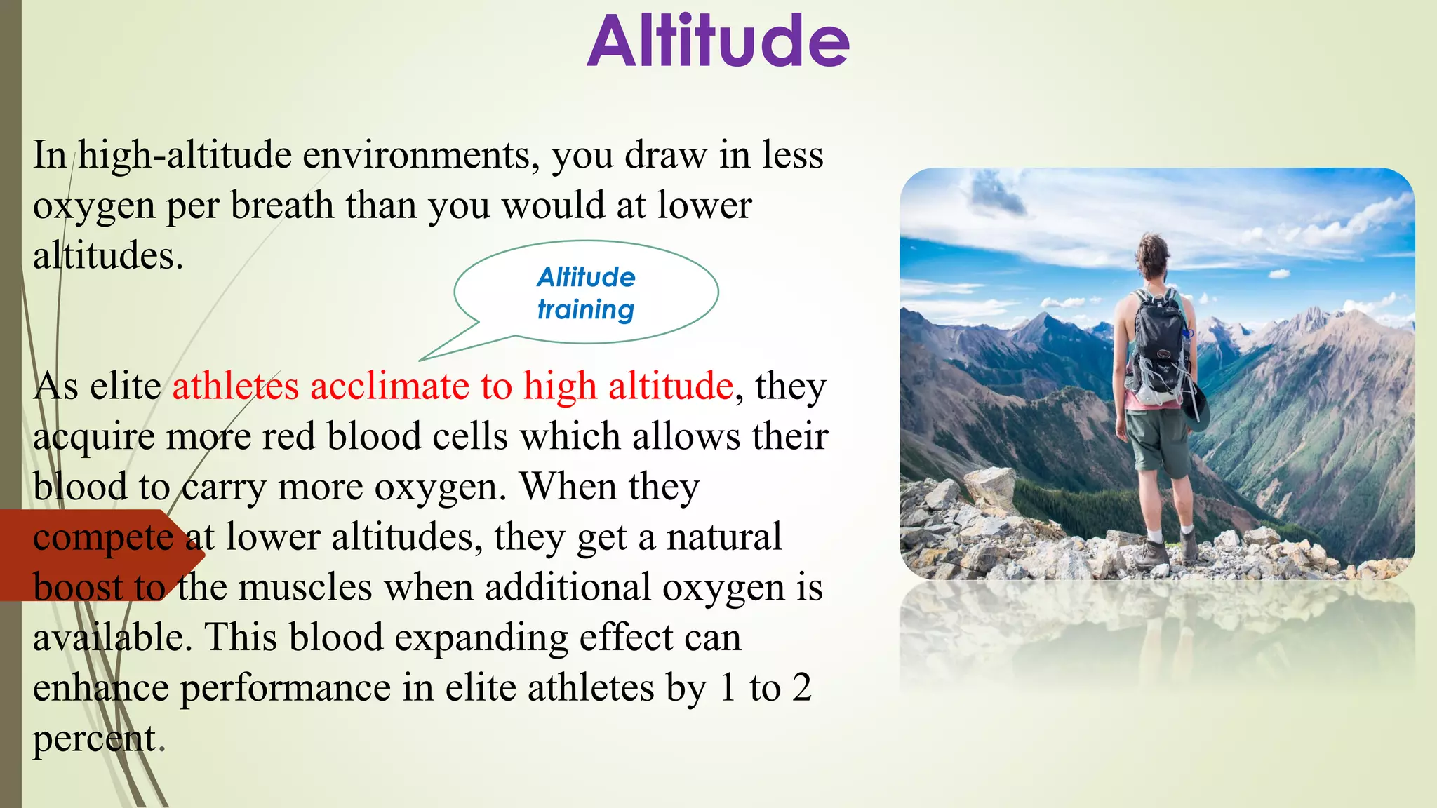 Factors that affect_performance | PDF