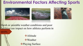 Factors that affect_performance | PDF