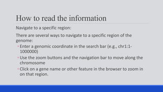 UCSC Genome browser BIOINFORMATICS (1).pptx