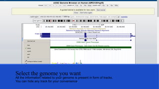 UCSC Genome browser BIOINFORMATICS (1).pptx