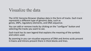 UCSC Genome browser BIOINFORMATICS (1).pptx