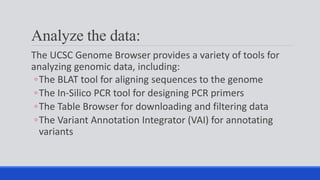 UCSC Genome browser BIOINFORMATICS (1).pptx