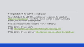 UCSC Genome browser BIOINFORMATICS (1).pptx
