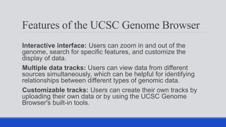 UCSC Genome browser BIOINFORMATICS (1).pptx