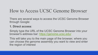 UCSC Genome browser BIOINFORMATICS (1).pptx