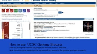 UCSC Genome browser BIOINFORMATICS (1).pptx