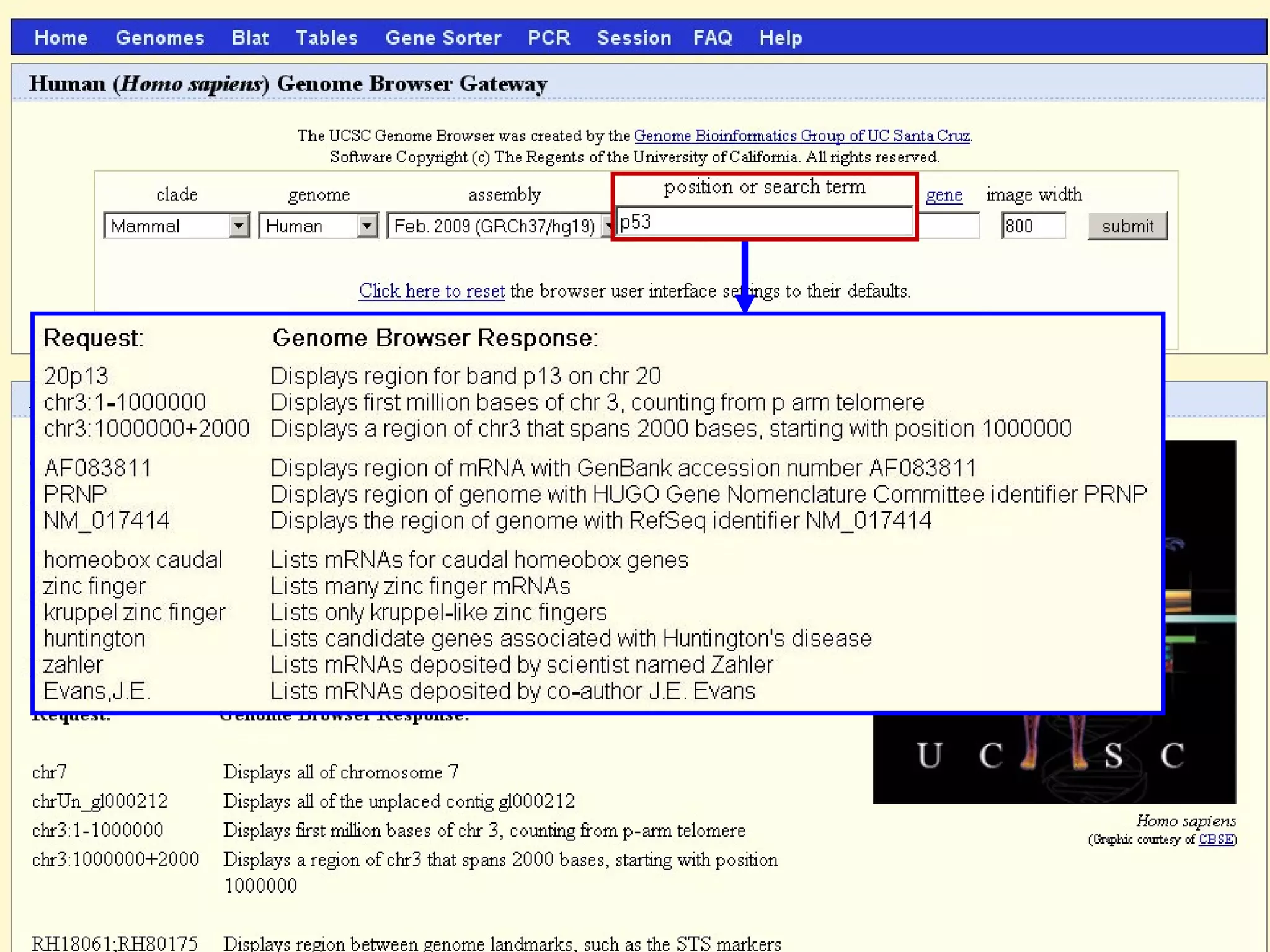 BITS: UCSC genome browser - Part 1 | PDF
