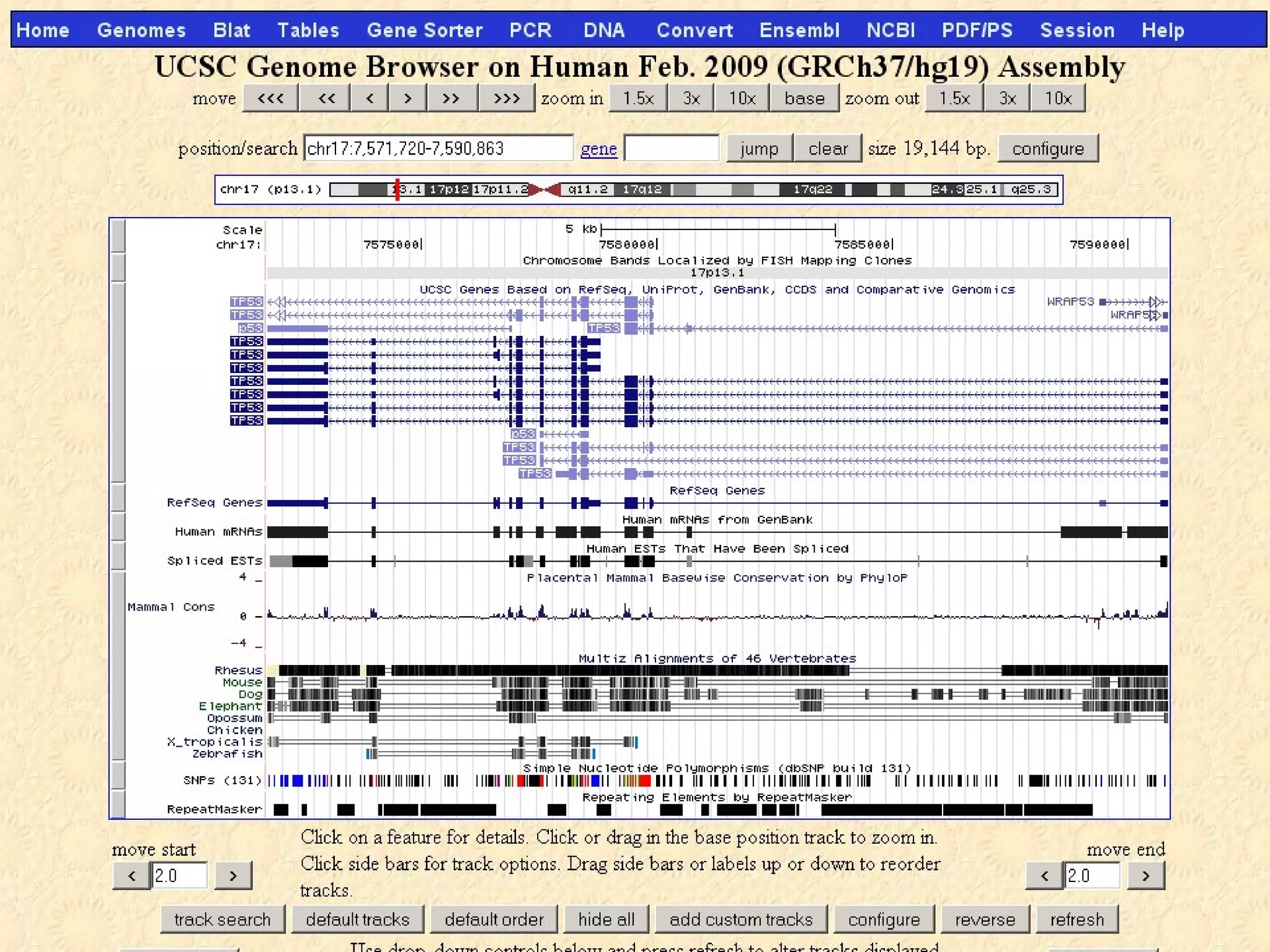 BITS: UCSC genome browser - Part 1 | PDF