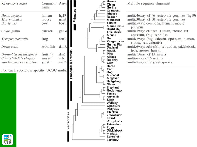 BITS: UCSC genome browser - Part 1 | PDF | Databases | Computer Software and Applications