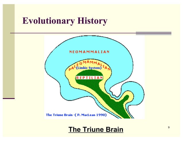 Managing the Caveman Brain in the 21st Century | PDF