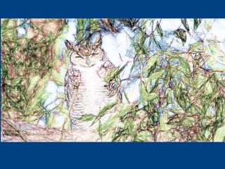 UCSD 1st year program | PPTX | Educational Assessment | Education