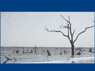 UCSD 1st year program | PPTX | Educational Assessment | Education