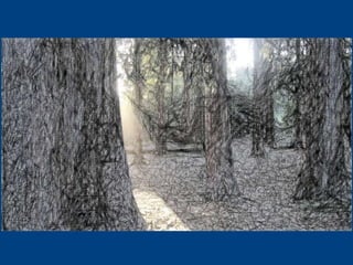 UCSD 1st year program | PPTX | Educational Assessment | Education