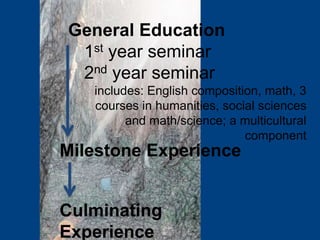 UCSD 1st year program | PPTX | Educational Assessment | Education