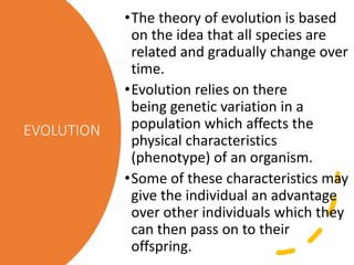 Ucsp.module2.lesson1 | PPTX