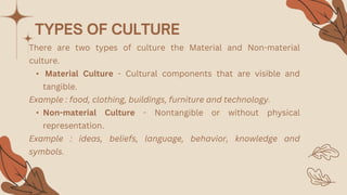 Understanding Culture Society and politics | PPTX