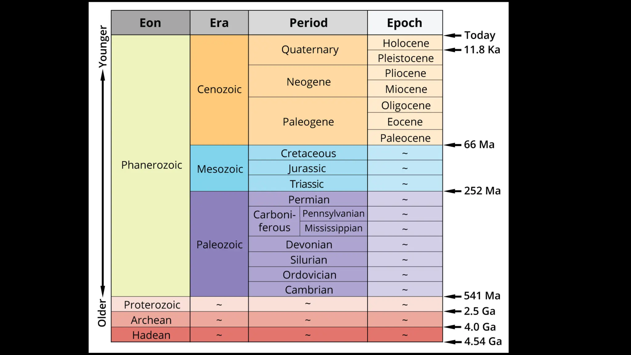 UCSP - BIOLOGICAL EVOLUTION and CULTURAL EVOLUTION | PPTX