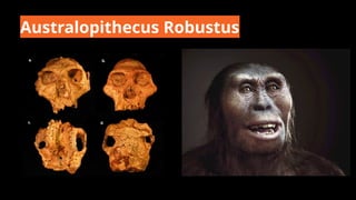 UCSP - BIOLOGICAL EVOLUTION and CULTURAL EVOLUTION | PPTX