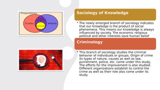 UNDERSTANDING CULTURE, SOCIETY AND POLITICS | PDF