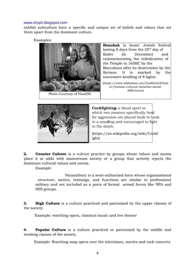 UnderstandingCultureandSP-Module-3.docx. | PDF