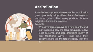 Understanding Culture, Society, and Politics lesson 3 | PDF