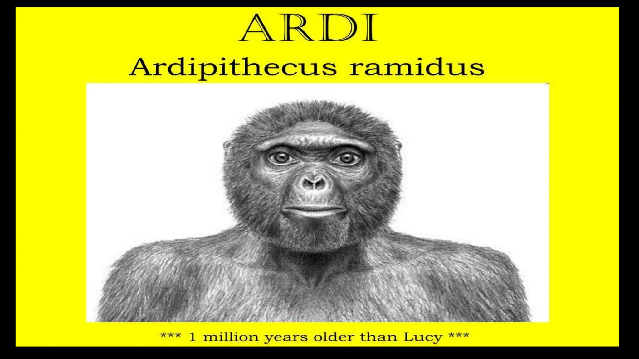 UCSP-Presentation1 - First Grading .pptx