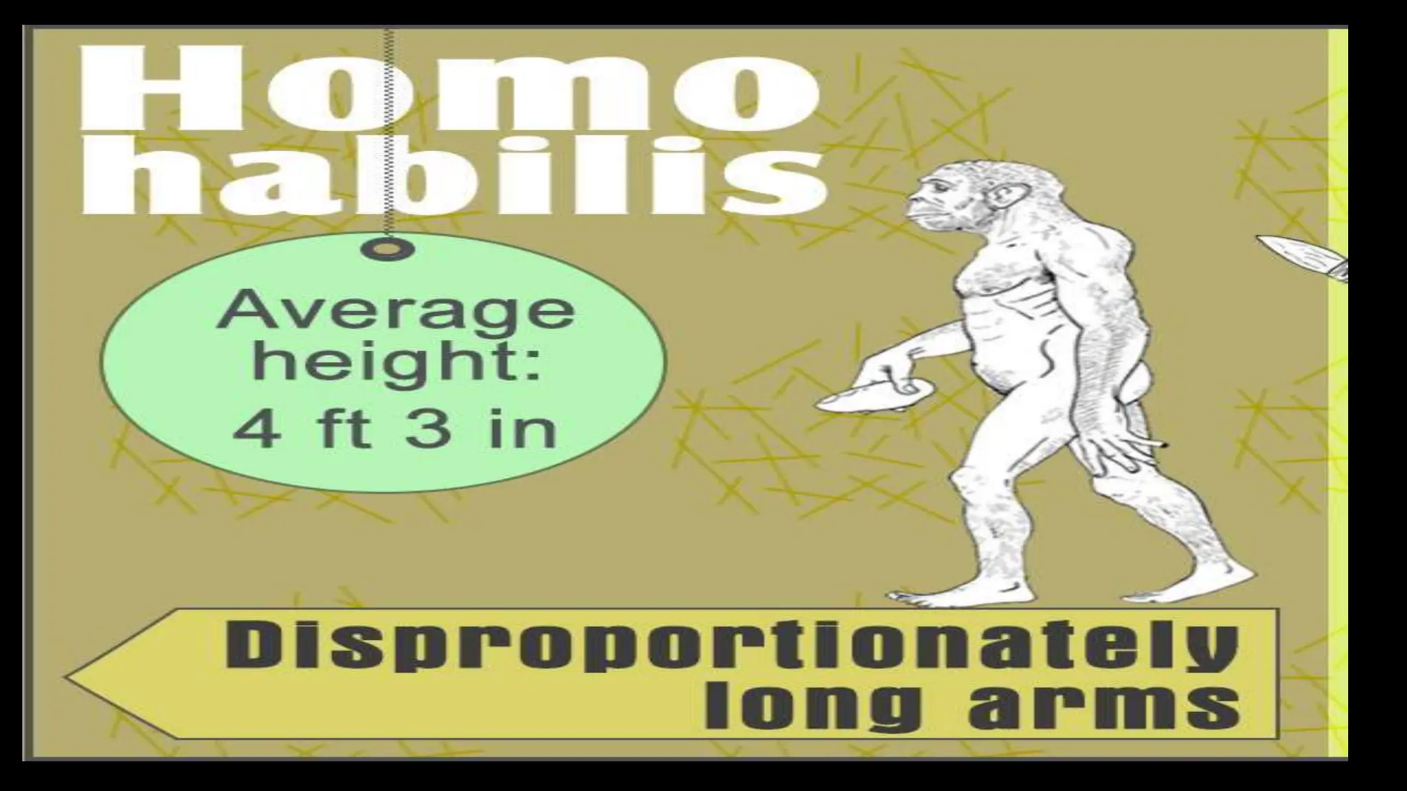 UCSP-Presentation1 - First Grading .pptx