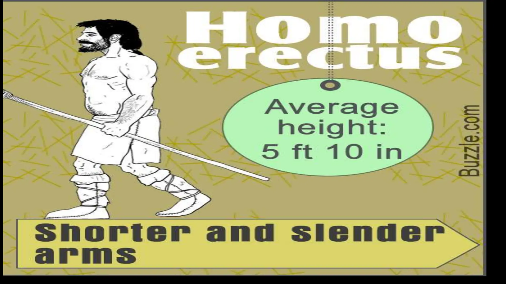 UCSP-Presentation1 - First Grading .pptx