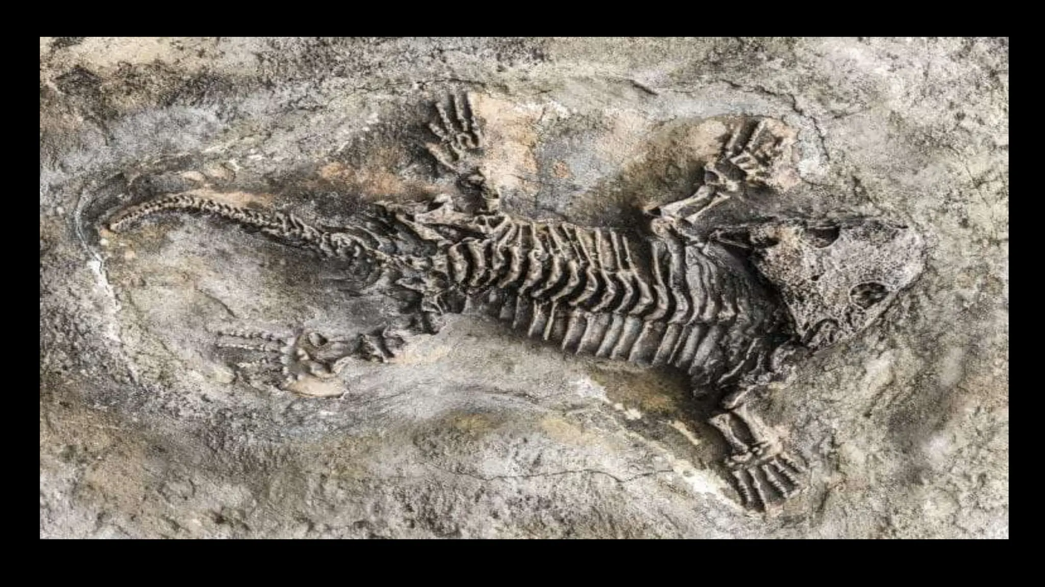 UCSP-Presentation1 - First Grading .pptx