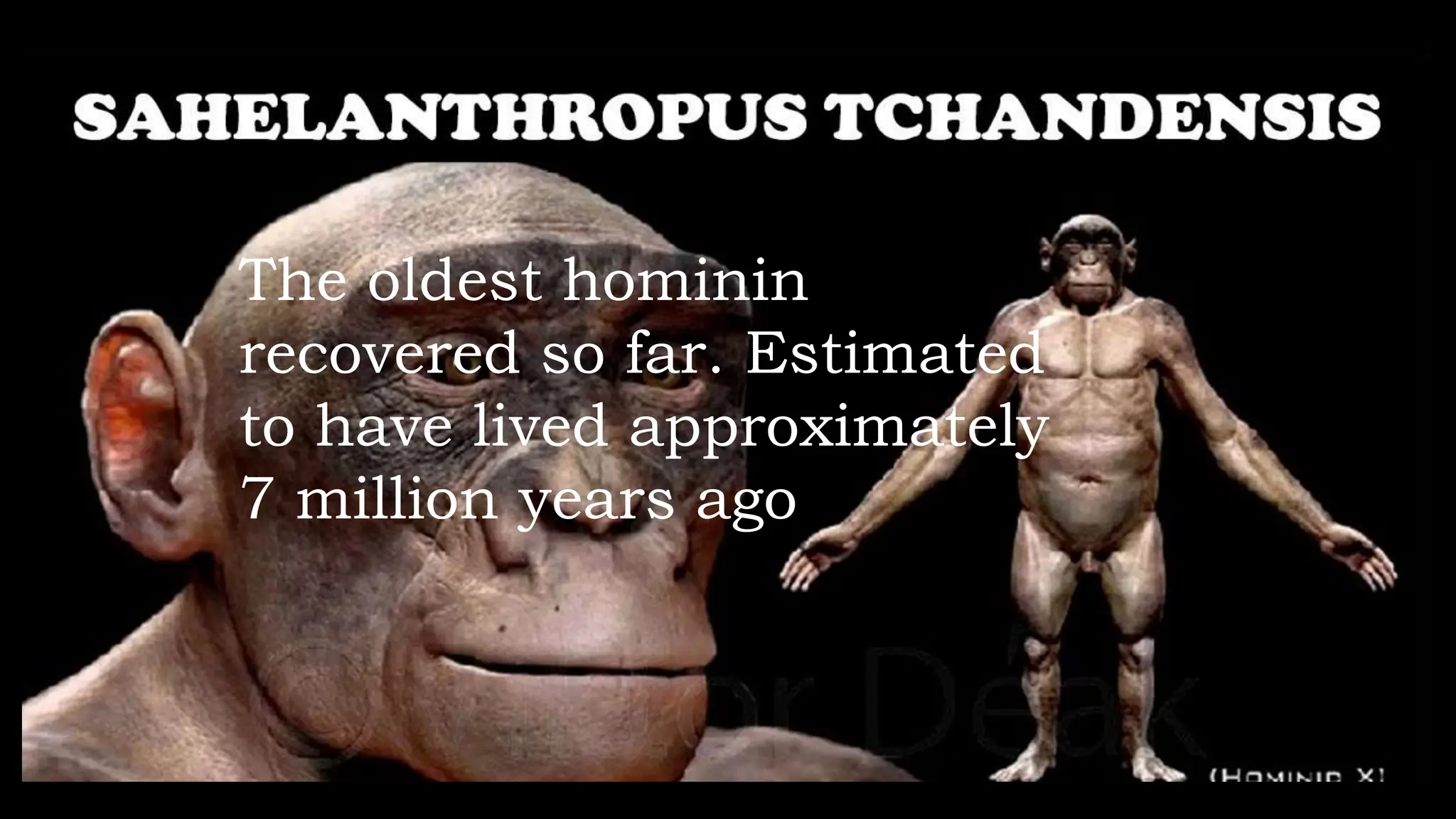 UCSP-Presentation1 - First Grading .pptx