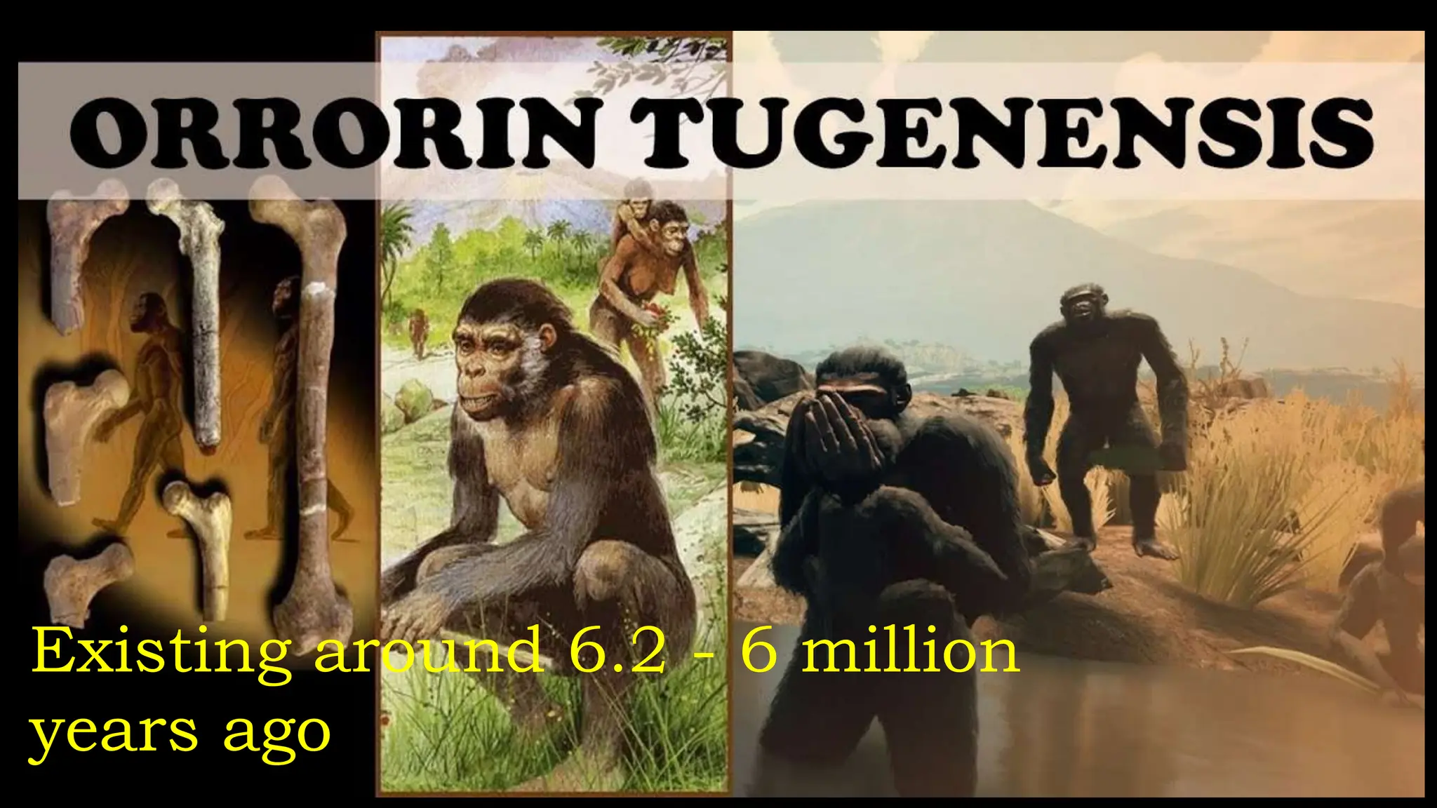 UCSP-Presentation1 - First Grading .pptx