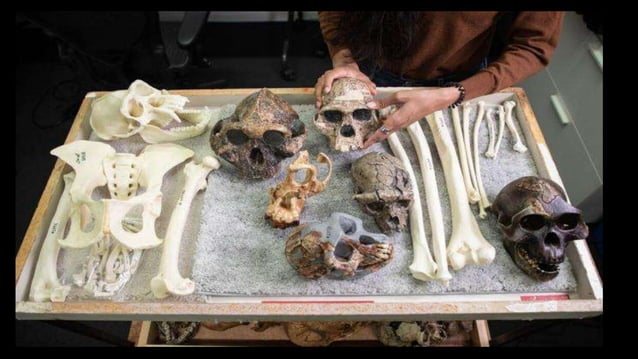 UCSP-Presentation1 - First Grading .pptx | Geology | Science